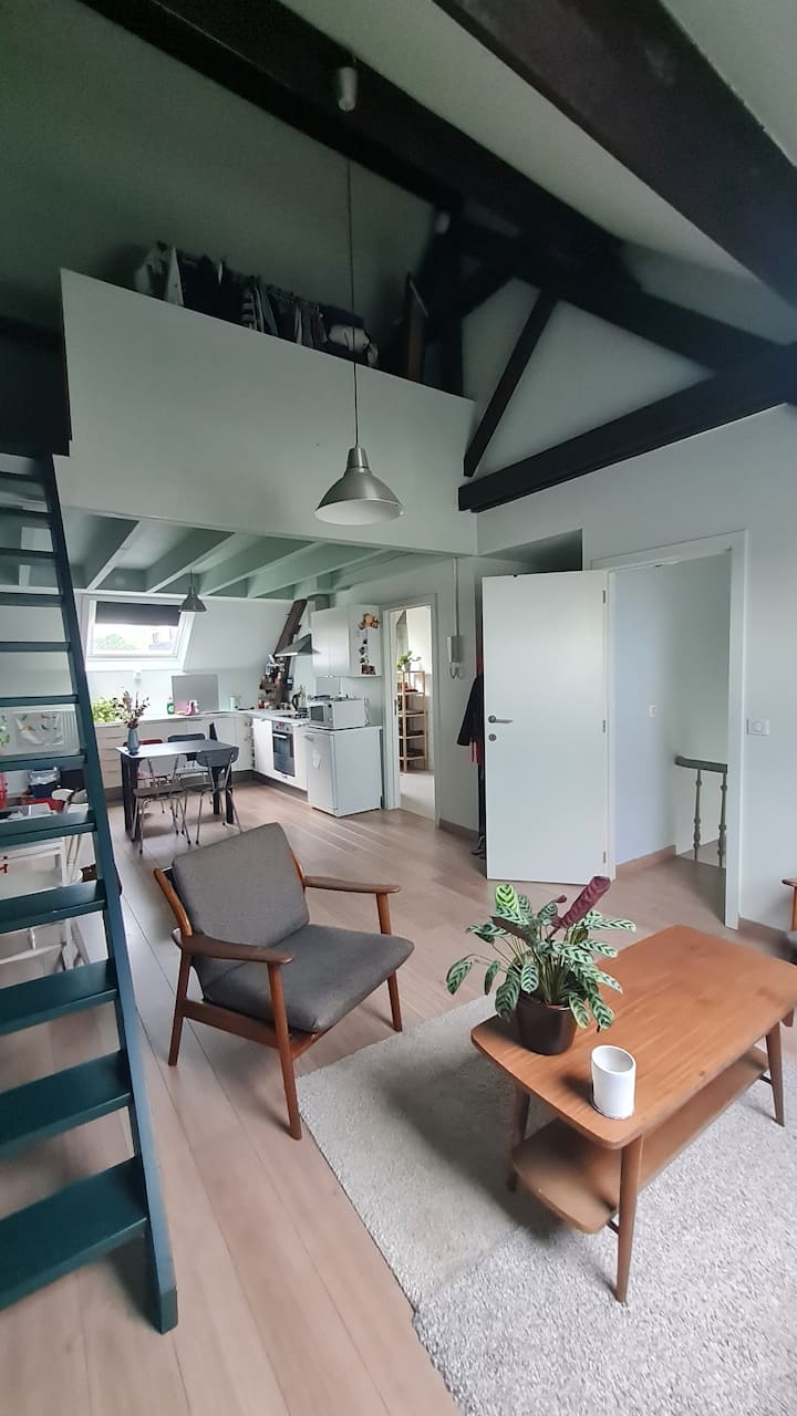 Appartement Near Central Station - Antwerp