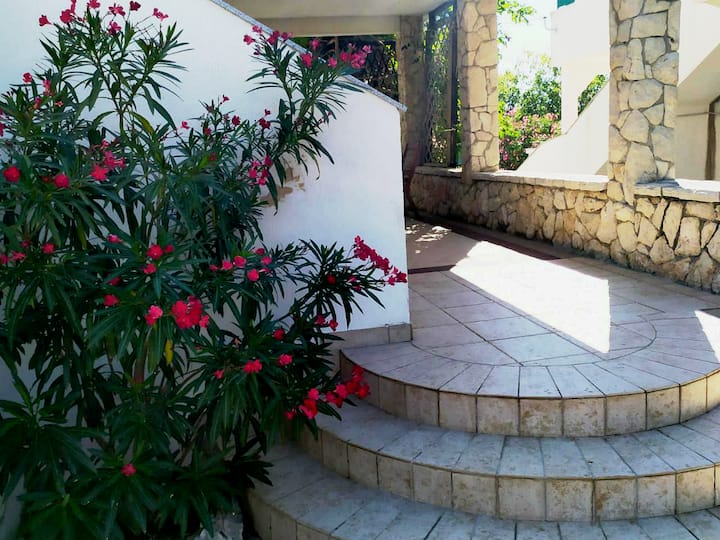 Apartman Yellow , Odlična Lokacija - Caska