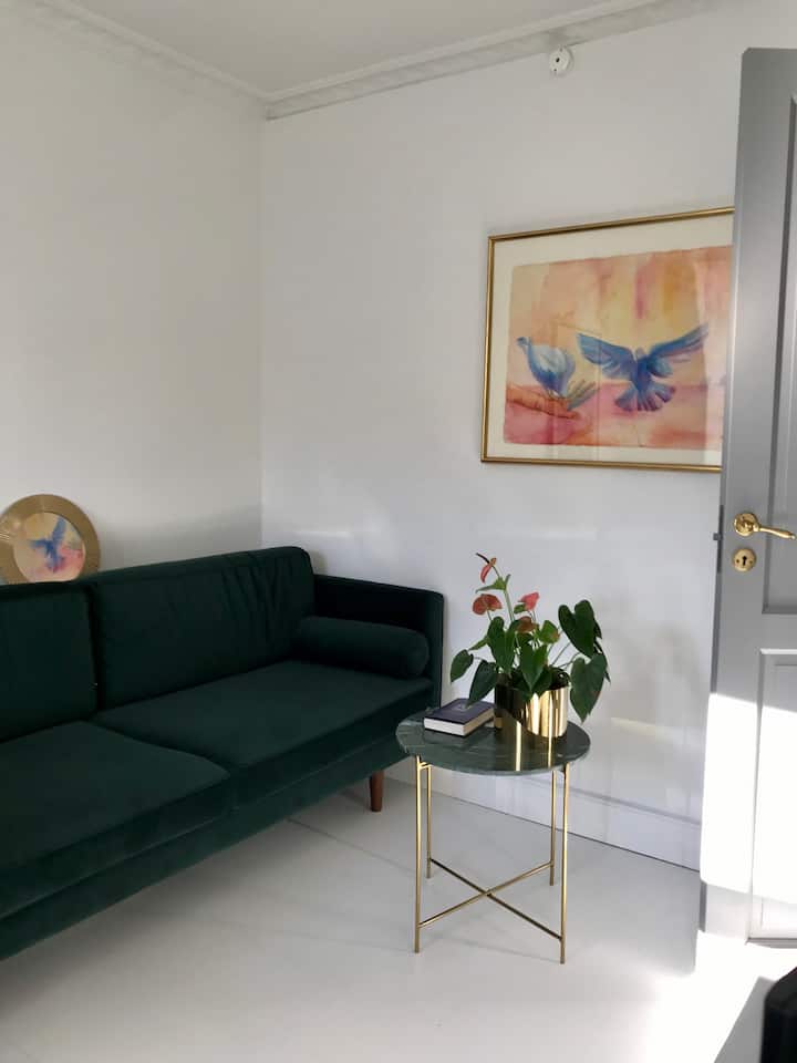 Light And Charming Apartment In Central Copenhagen - Copenhague