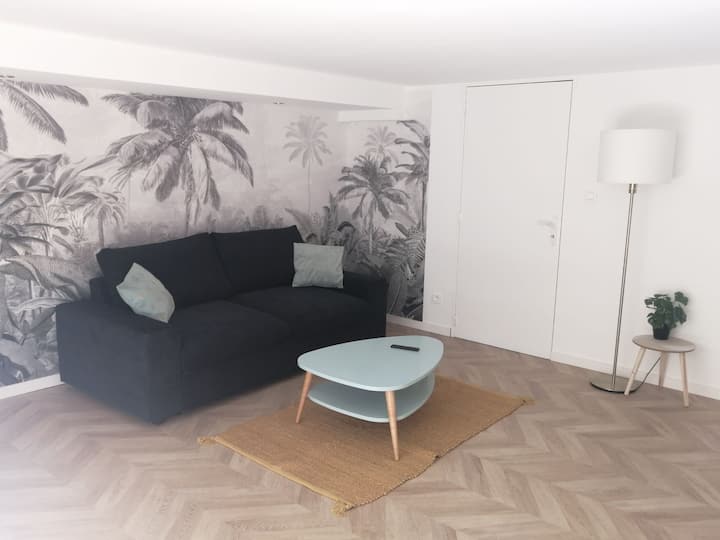 Mignon Studio 23 M2 Avec Jardin Privé, 50m Du Tram - Saint-Apollinaire