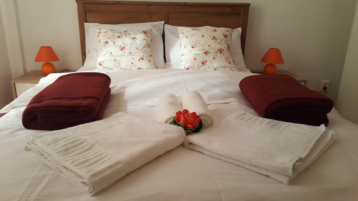 Iri's Downtown Apartment No.1 - Ultracentral - Ploiești