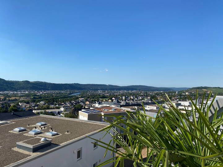 Luxurious Modern Penthouse With Best View Of Trier - トリール