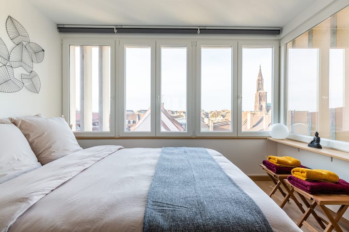 "Le Panorama": Vue D’exception En Hypercentre - Estrasburgo