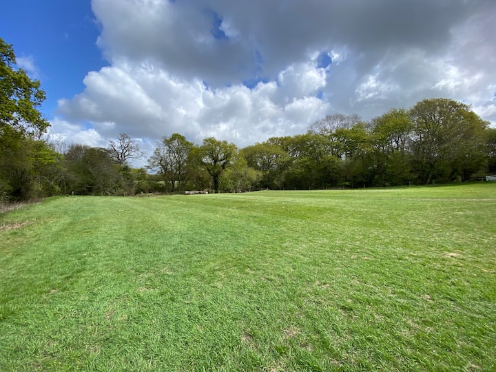 Idyllic Farm Setting Camping In Meadow - South Downs