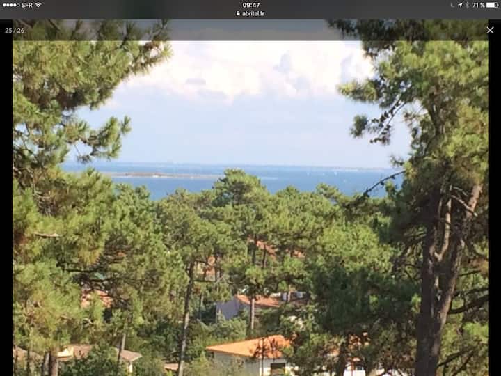 La Méduse,villa Piscine Chauffée - Cap Ferret