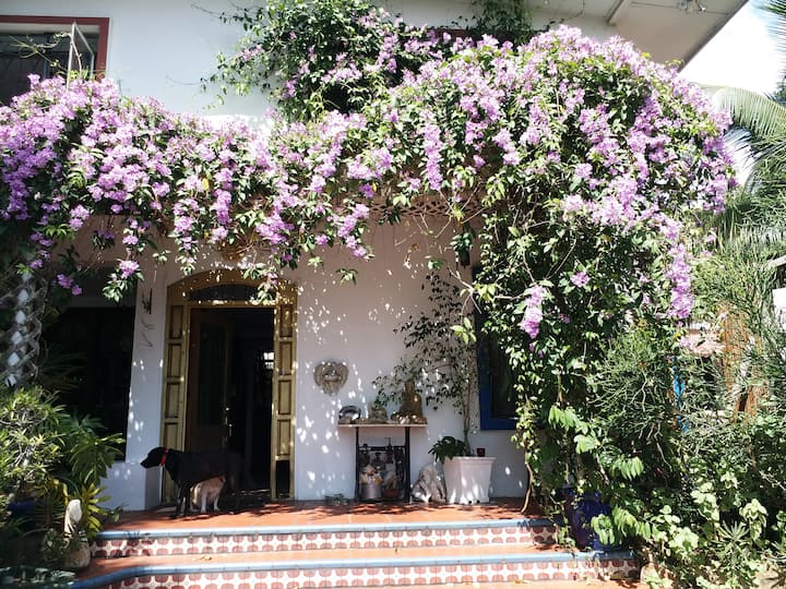 Lovely 1-bedroom Appartment Parking, Ac, Washroom - Port of Spain