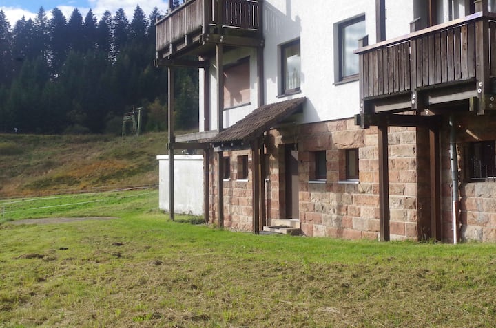 Natur Pur Im Nationalpark Schwarzwald - Bühl