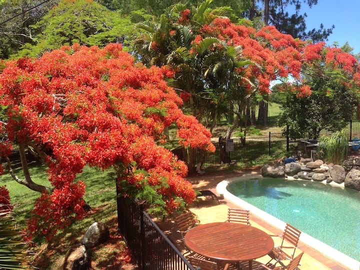Byron Bay Hinterland House & Pool Pocket Pines - Mullumbimby