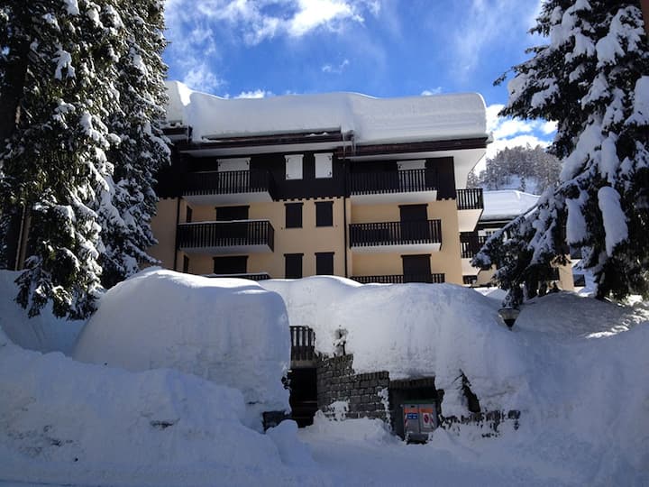 Monolocale In Centro/piste Da Sci - Madesimo