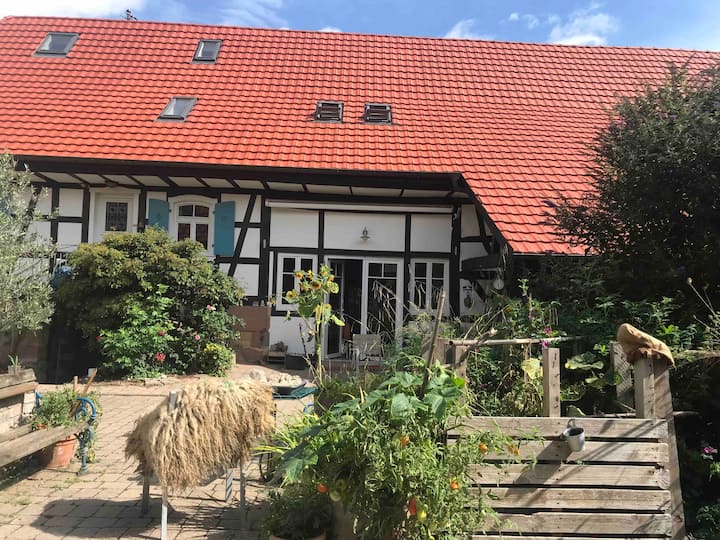 Auszeit Auf  Charmantem Bauernhof  Maias Farm - Wissembourg