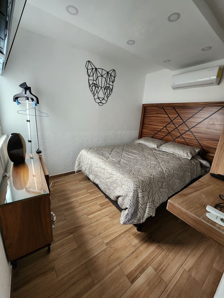 Departamento Puma - Guadalajara, Jalisco, Mexique