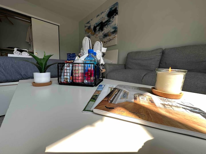 Luxury Bedroom By Numc With Private Bath - Massapequa, NY