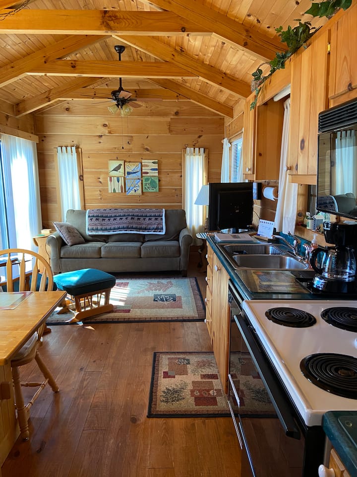 His Blackbeard Tiny Cabin On Hartwell W/dock - South Carolina