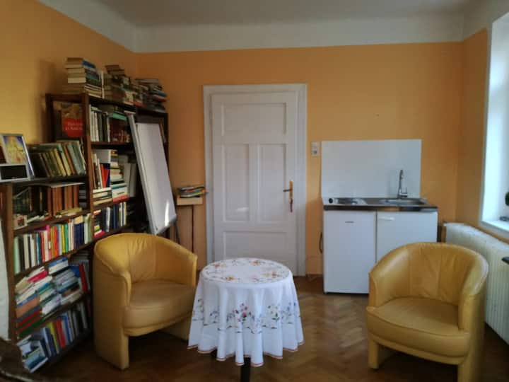 Gemütliche Garconniere In Gartenvilla - Klagenfurt