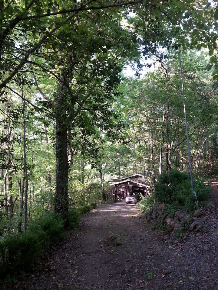 Charming Cabin In Smoky Mountains. - Franklin, NC