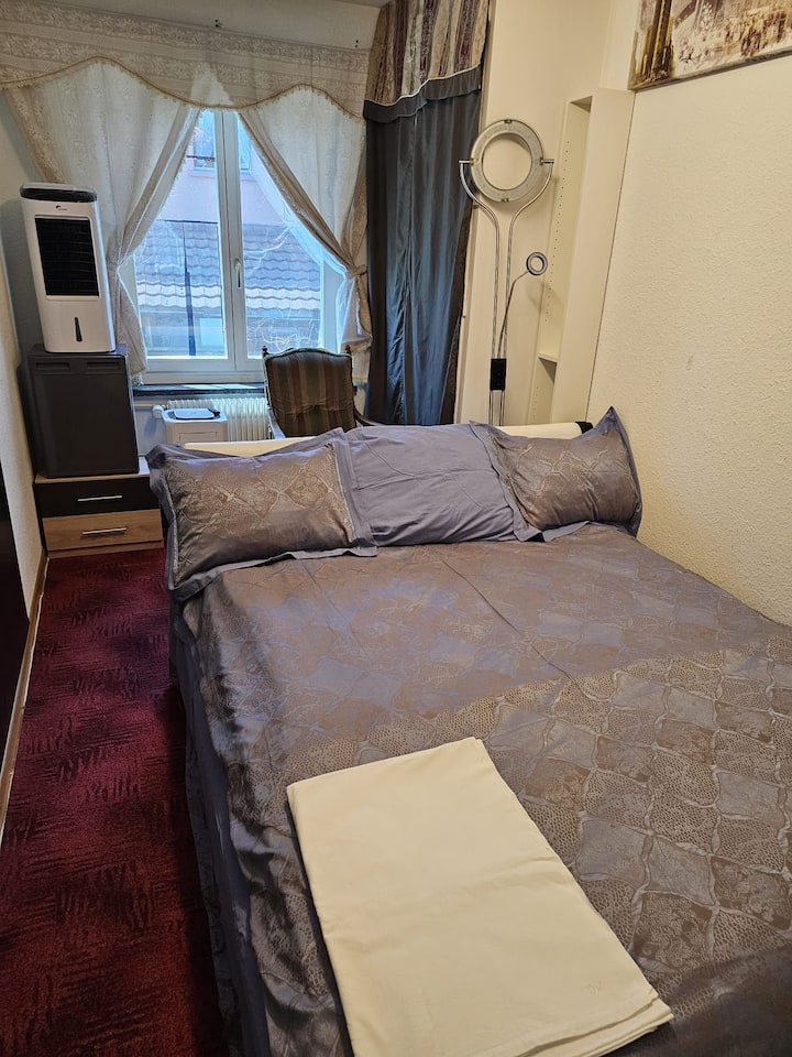 Complet Apartement & Car Rental Option. - Bern