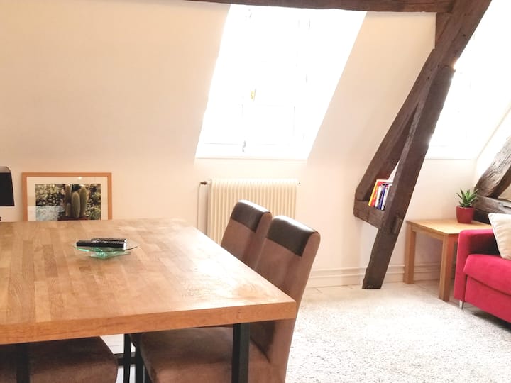 Super Cosy T2 Centre-fibre-wifi-netflix-6'gare! - Chartres