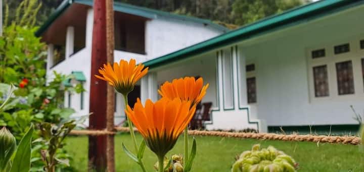 Ethereal Retreat - Nuwara Eliya