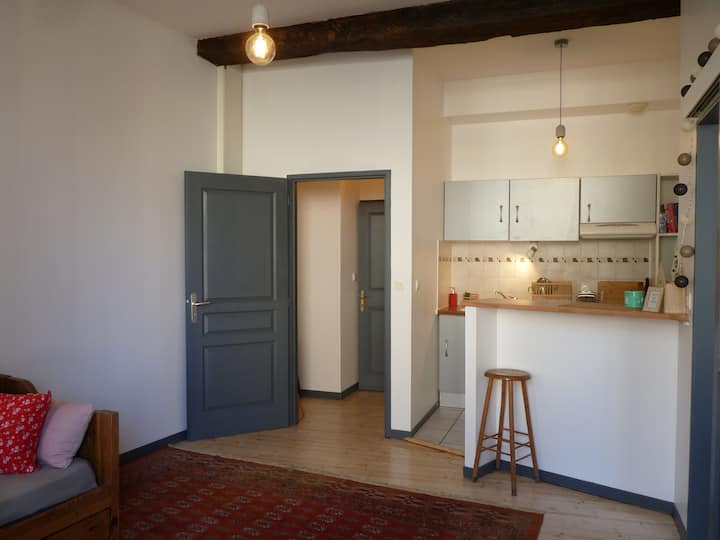 Appartement De Caractère Au Cœur De Périgueux - Périgueux