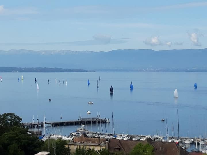 Vue Lac Panoramique Pour Ce T2  55m2  Centre Ville - Genfersee