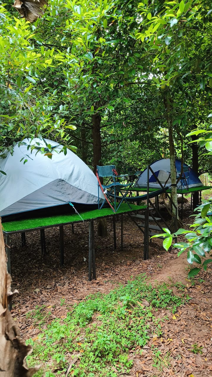 Dragster Tents - Chalakudy
