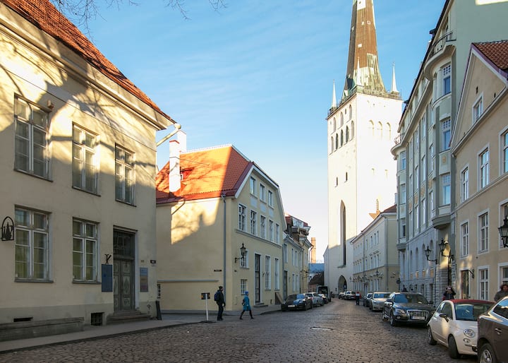 3br Apt In Old Town+sauna+fireplace+views - Tallinn