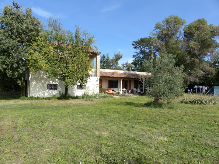 Ferienhaus "Mas Au Lézard" - Uzès