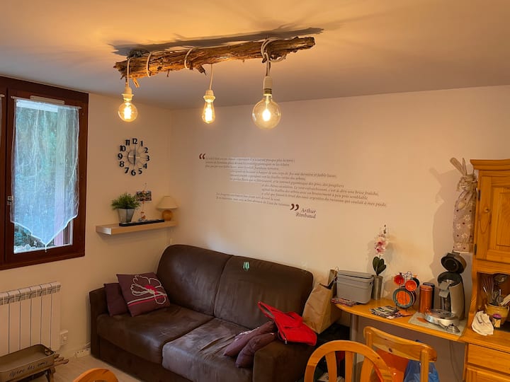 Charmant Appartement En Résidence Parking Gratuit - Mont-Dore