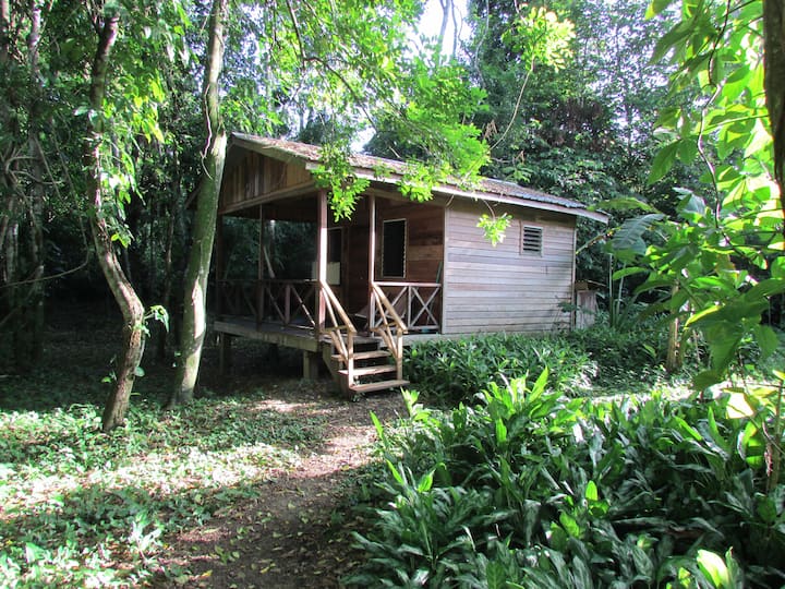 Bullet Tree Falls Alloggi e case vacanze - Cayo District, Belize | Airbnb