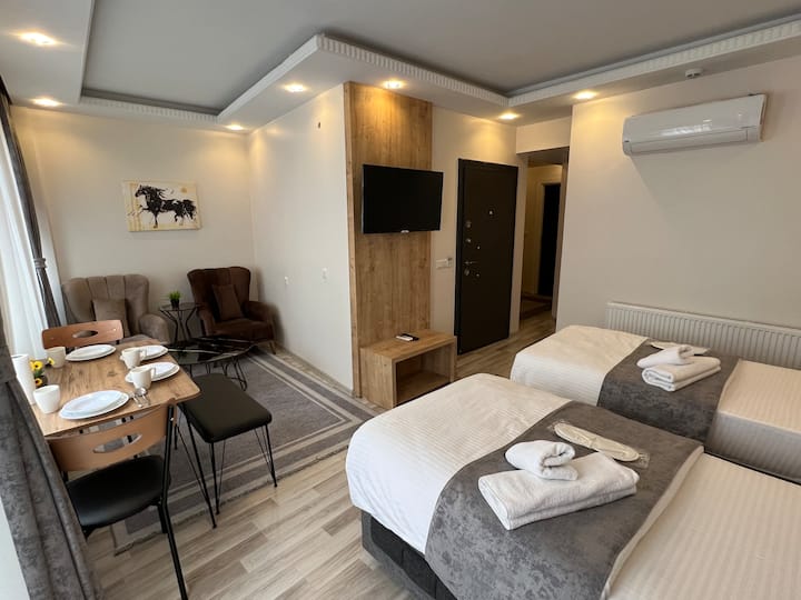 To12apart 2+1 In Old City 2nd Floor - İstanbul