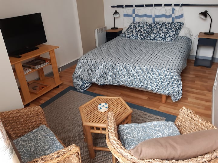 Roscoff 400m Mer Appart 2 Pers En Rez De Jardin - Roscoff