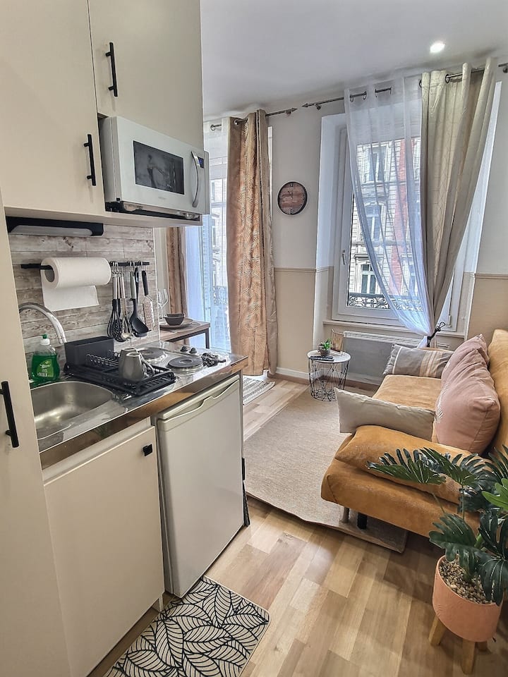 Charmant 2 Pieces Cosy Avec Balcon - Estrasburgo