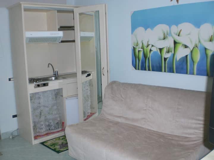 B&b Ca' Roman - Monolocale - Rovigo