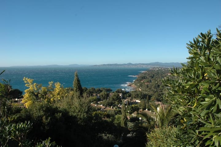 Studio Cabine Vue Méditerranée - Saint-Raphaël