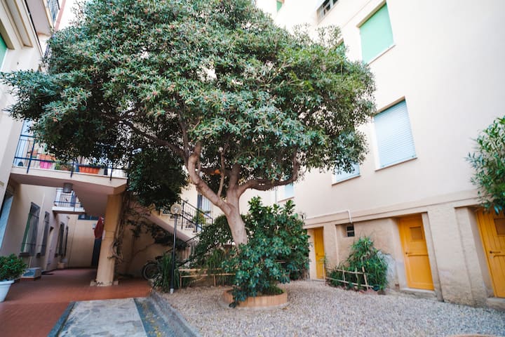 Casa Sansa Varazze - Varazze
