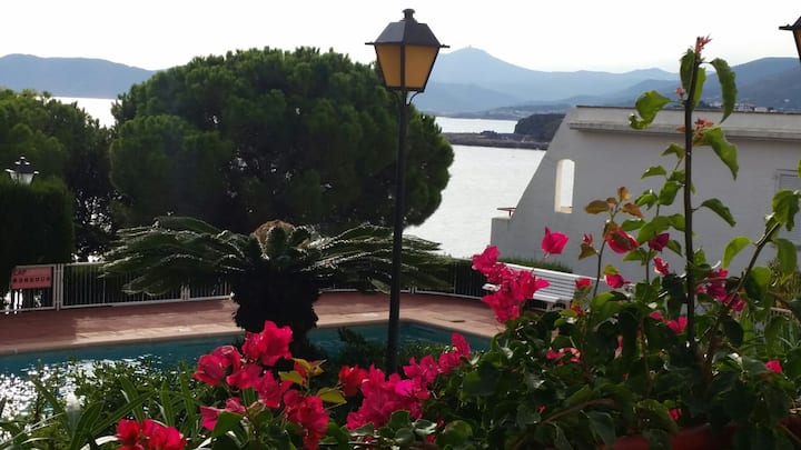 200m De La Mer, Terrasse De 25 M2 Fleurie, Piscine - Cerbère