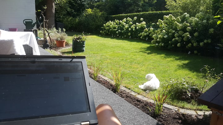 Oase Im Aachener Südviertel - Aachen