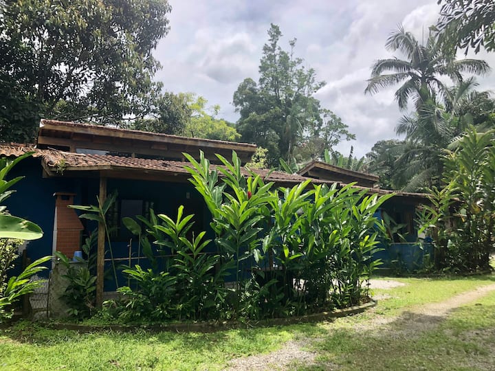 Muito Verde, Praia E Cachoeiras C8 - São Sebastião