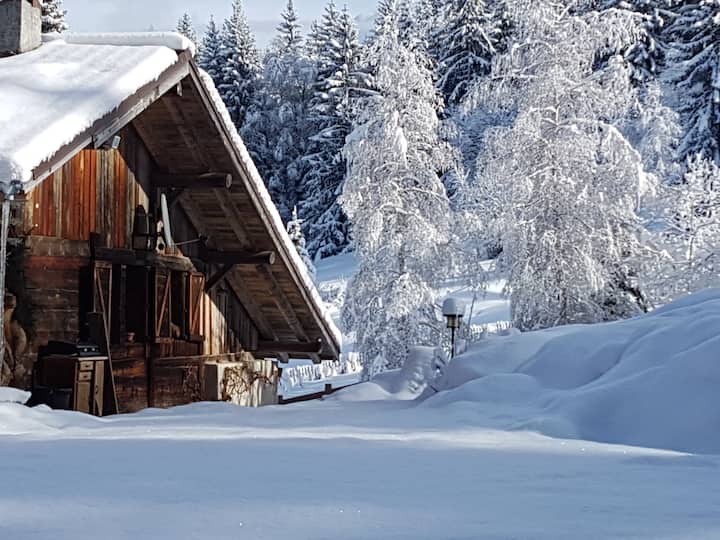 The Bear Mountain Lodge - Sallanches
