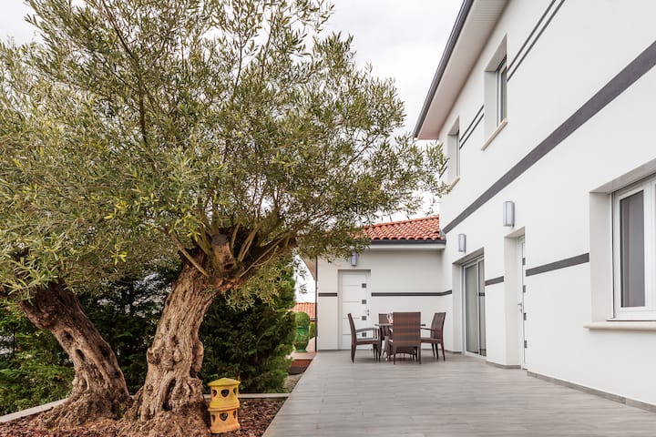 L'olivier - Périgord