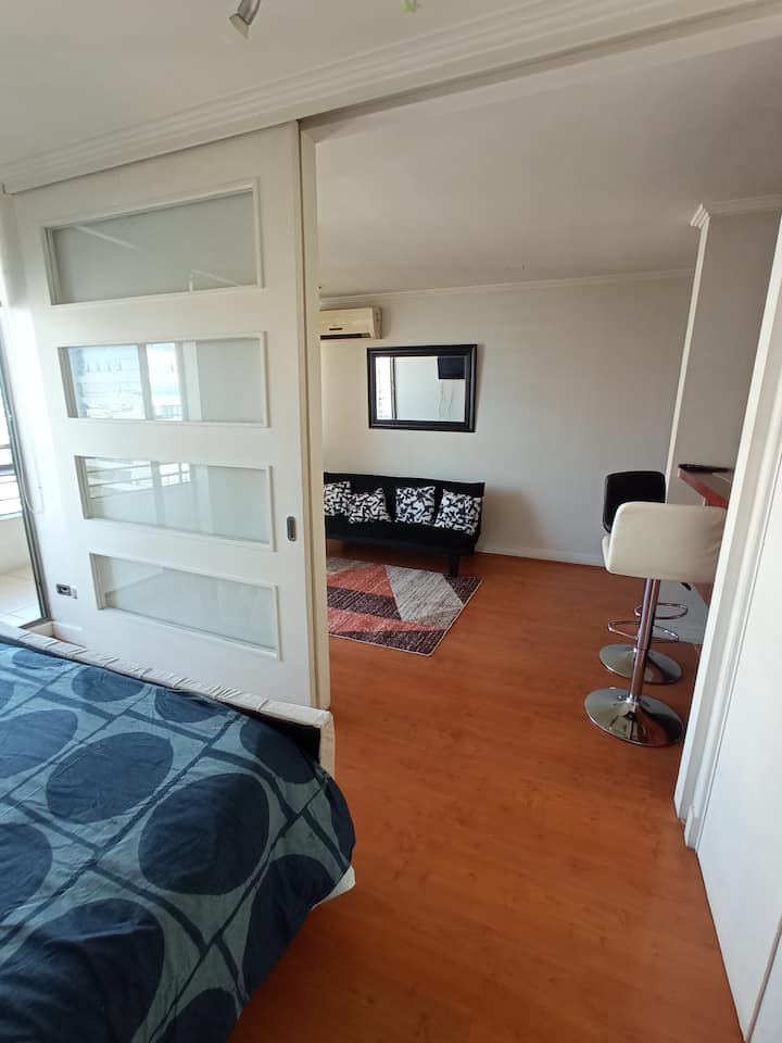 Departamento En Providencia - 프로비덴시아