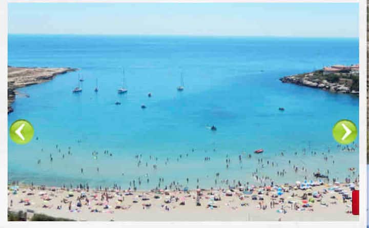 Appartement Bord De Mer La Couronne Martigues - Martigues