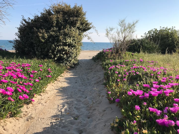 Carnon: Studio Rénové Première Ligne Face à La Mer - Mauguio