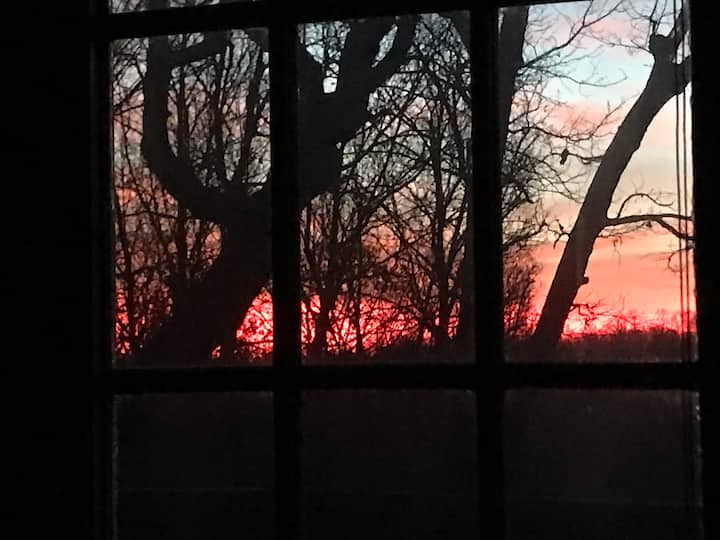 Fox Ridge: Winter Sunrises Are The Best! - Cuba, MO