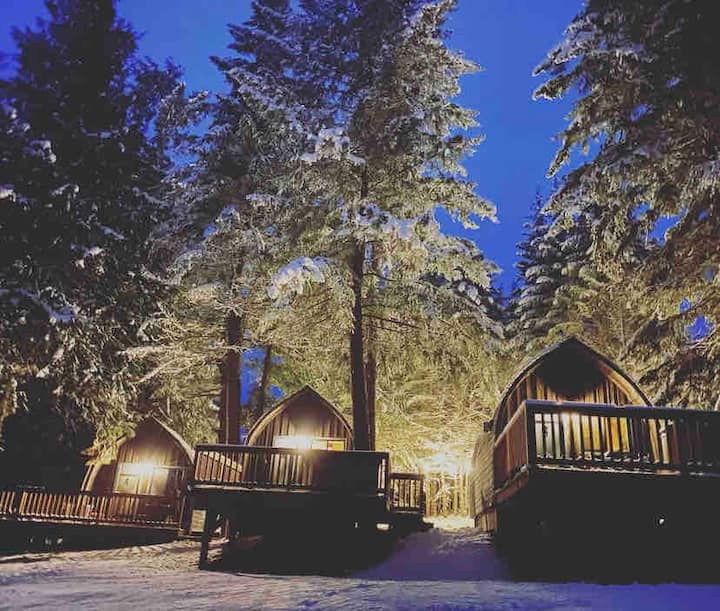 Cabin Cozy One - Sicamous