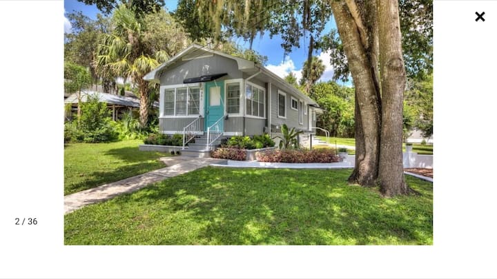 Mt Dorable! - Mount Dora, FL