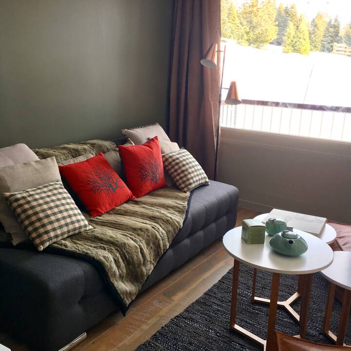 Beau Studio De 28 M2 Sur Les Pistes - シャンルッス