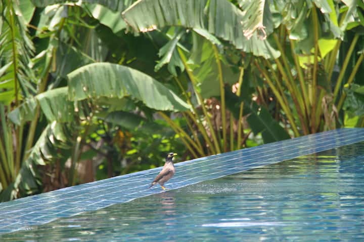 Karon Beach Deluxe 1bdr 106sqm 8 Min Walk - Kata Beach