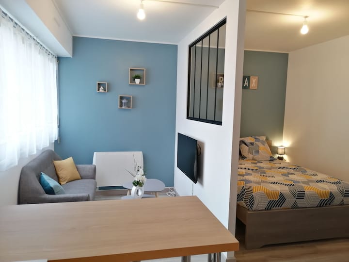 Saint-brieuc Centre: Superbe Appartement - Saint-Brieuc