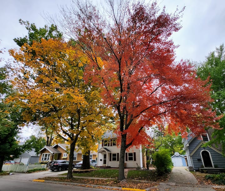 Walk To Jack Trice Stadium And Isu!  Fire Pit+yard - Iowa State University, Ames